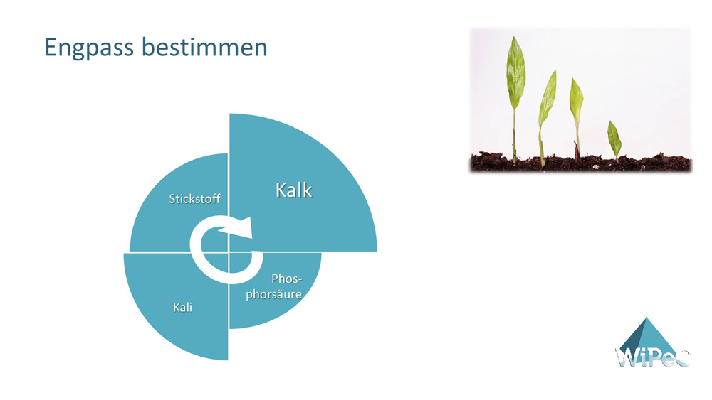 Engpass bestimmen: Was Ihr Business am Wachsen hindert